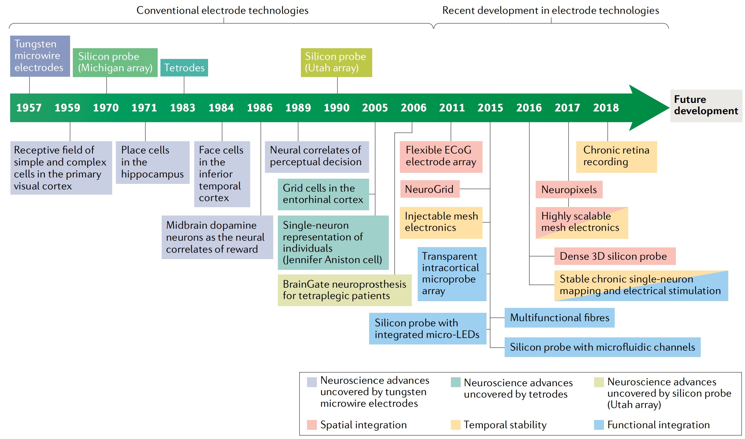 Novel electrode technologies for neural recordings | i-BRAIN Research Group